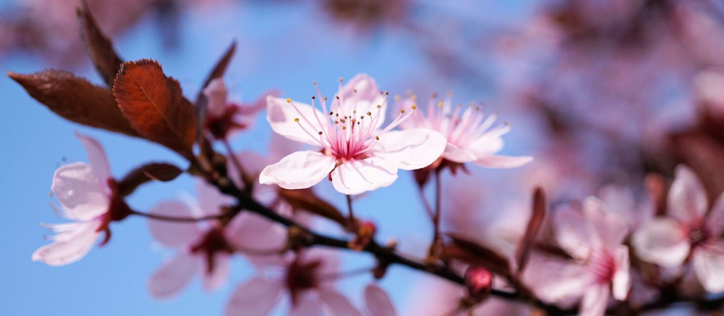 Library events for Spring 2025 | Loimaa